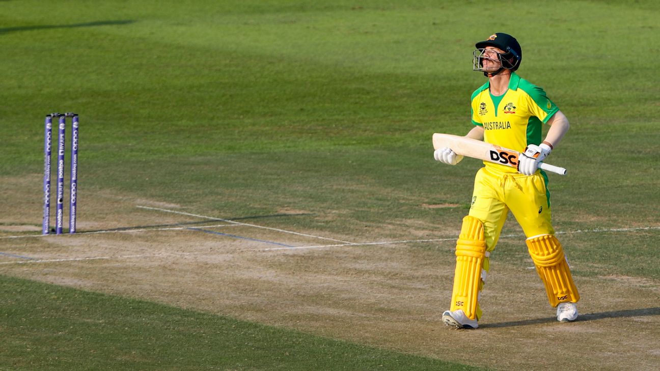 David Warner turns to concrete pitches for batting rhythm - ESPN