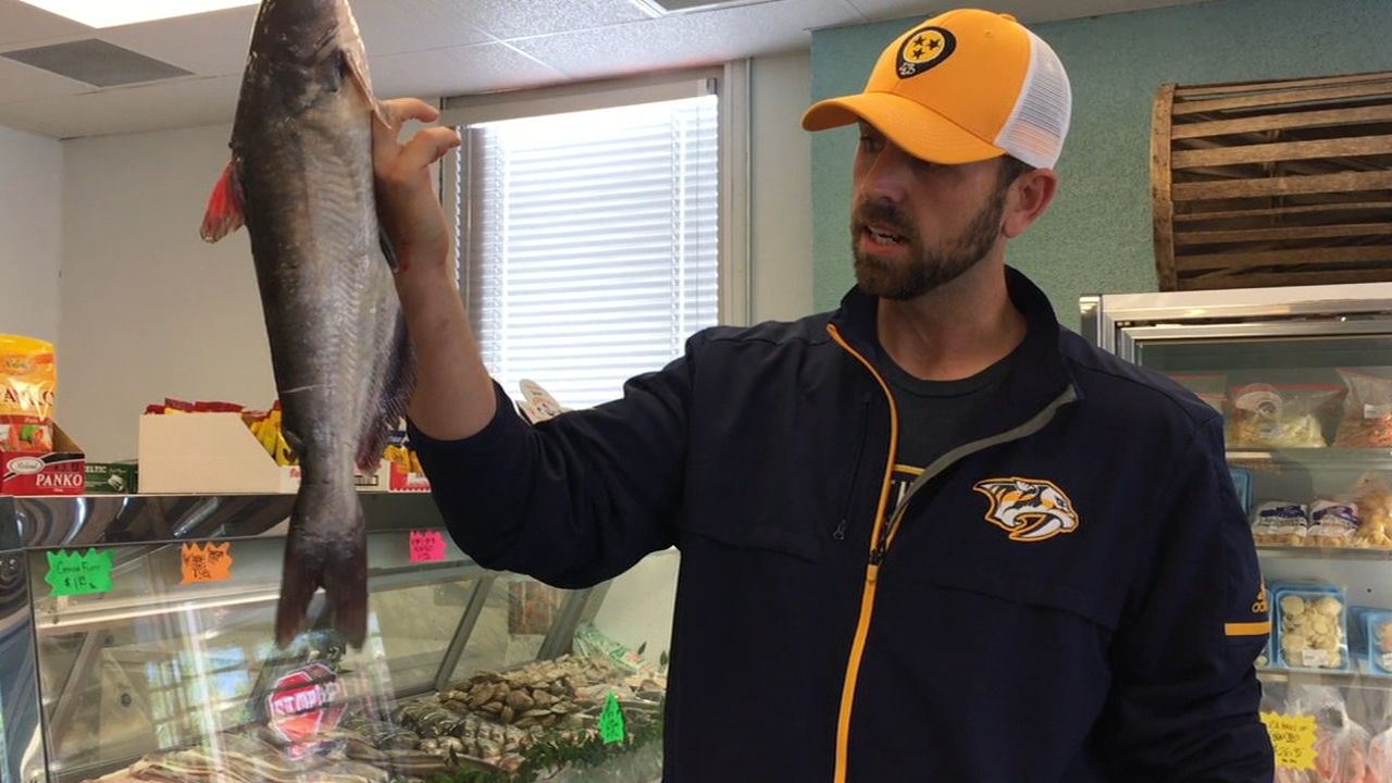 Inside look at Predators' fish-throwing tradition - ESPN Video