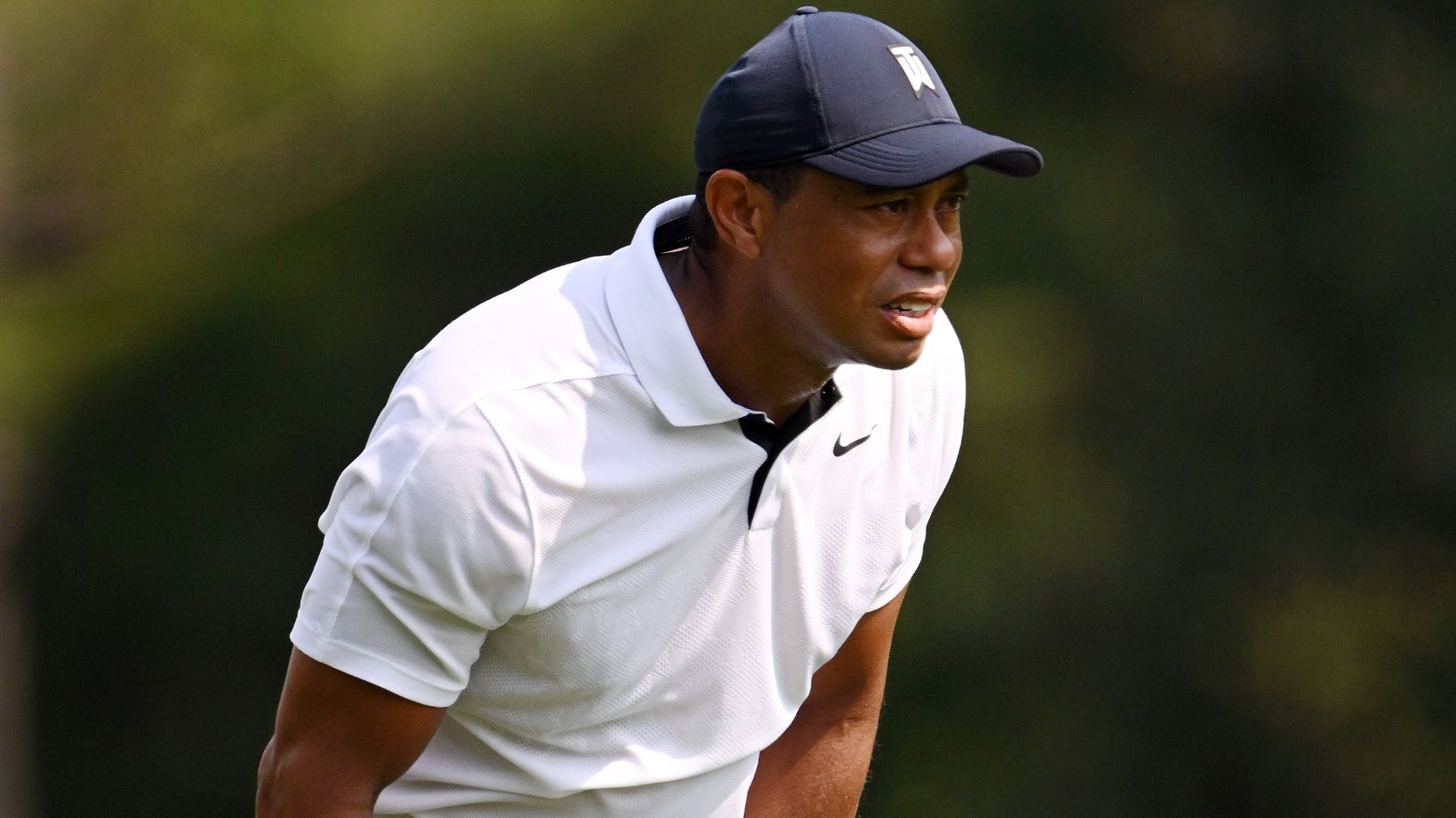 Tiger's sensational chip nearly goes in for eagle - ESPN Video