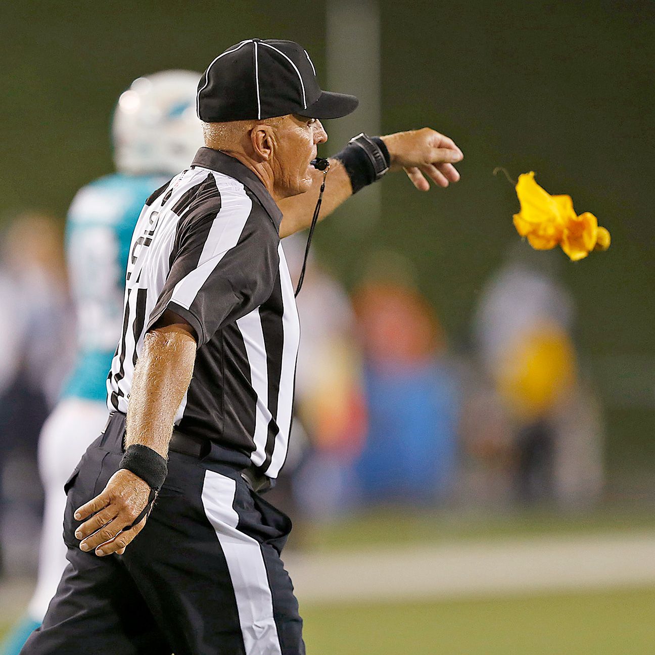 View Is Offensive Pass Interference Loss Of Down Penalty Pics | Hutomo