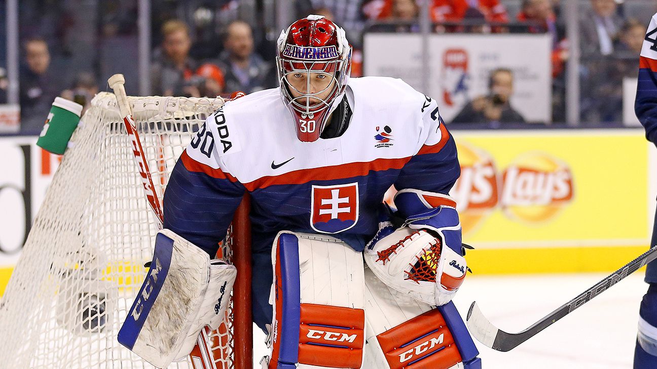 Felix Sandstrom leads list of top 10 goalie prospects - 2015 NHL draft ...