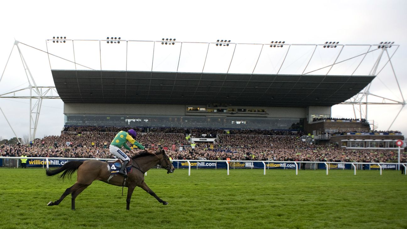 Two-time Cheltenham Gold Cup winner Kauto Star put down - ESPN