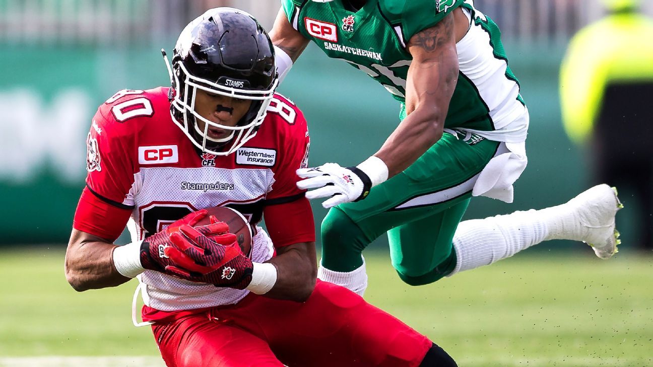 Star ex-CFL wide reciever Eric Rogers joins San Francisco 49ers - ESPN