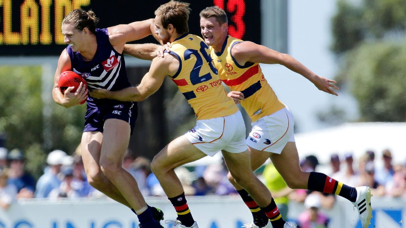 Nat Fyfe is undoubtedly the AFL's best: Gary Ablett - ESPN