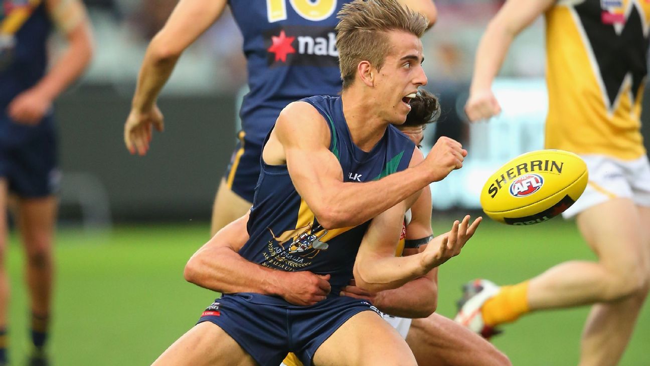 Knightmare's AFL Draft Wrap Jordan Gallucci showcases his class - ESPN