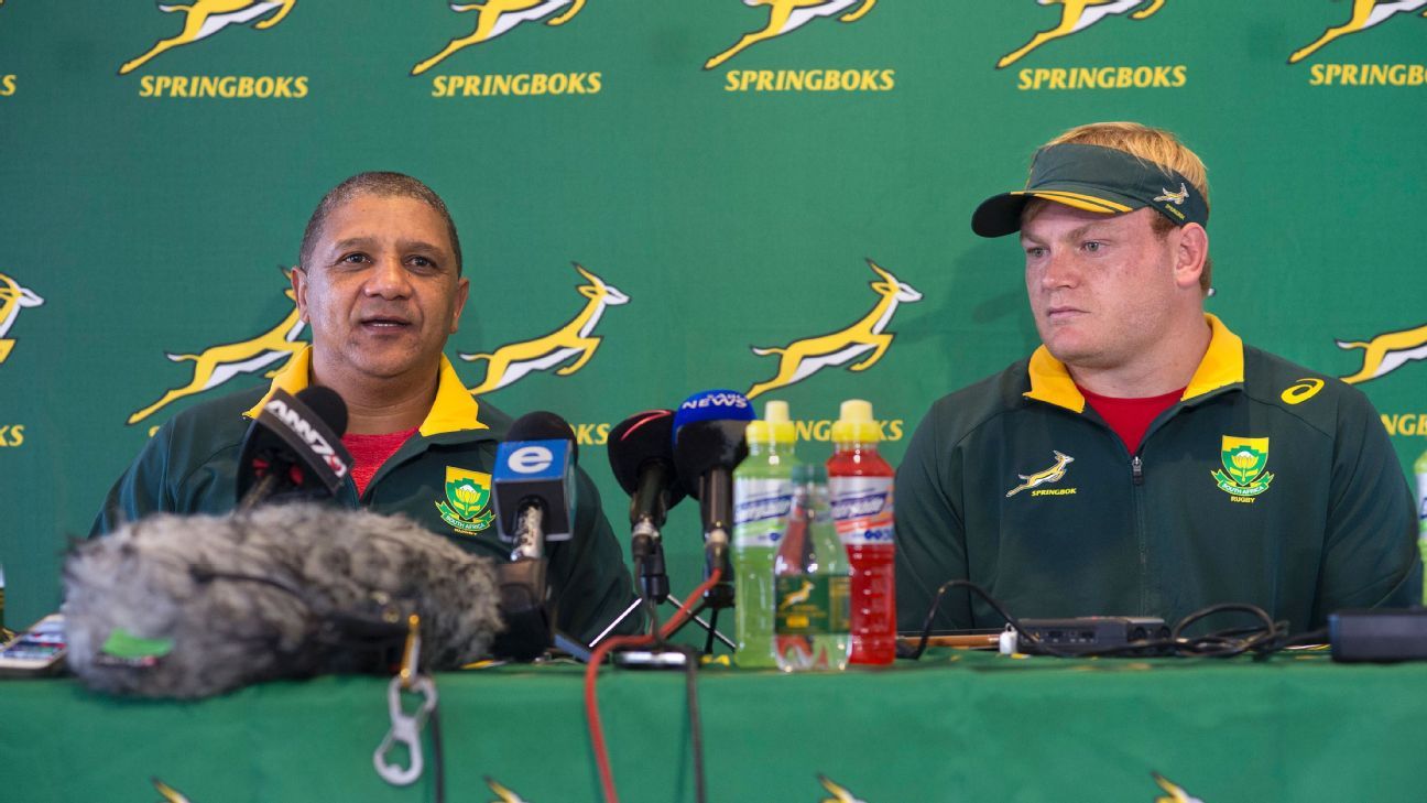 Adriaan Strauss named South Africa captain for Ireland series - ESPN