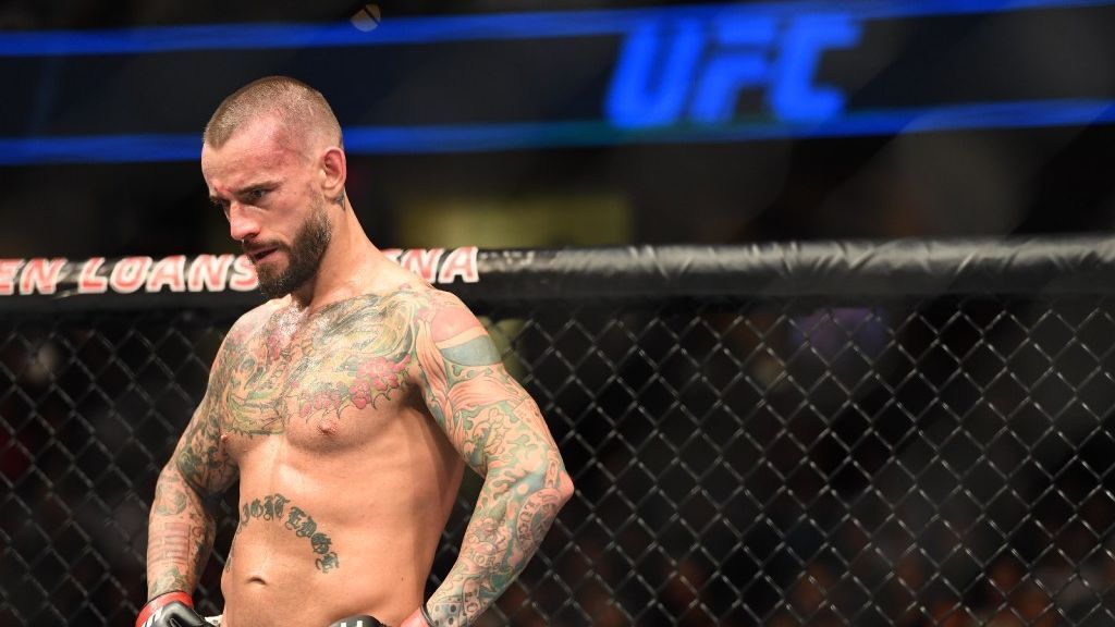 Former WWE star CM Punk hints at return to MMA with fight at UFC 225 in ...