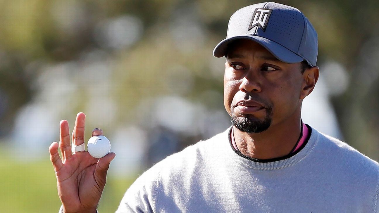 Tiger Woods found asleep in car at time of arrest; no alcohol found in ...
