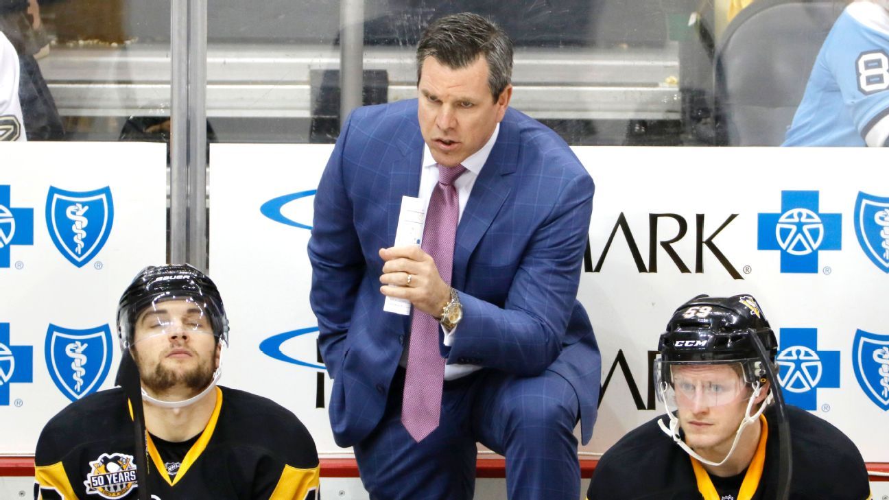 Penguins coach Mike Sullivan 1st to use challenge in Stanley Cup Final ...