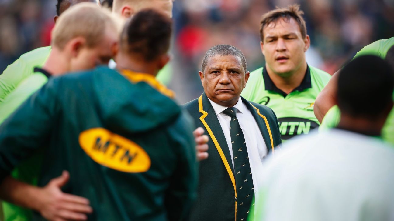 Coetzee finds room for improvement despite Springboks' 22-point win - ESPN