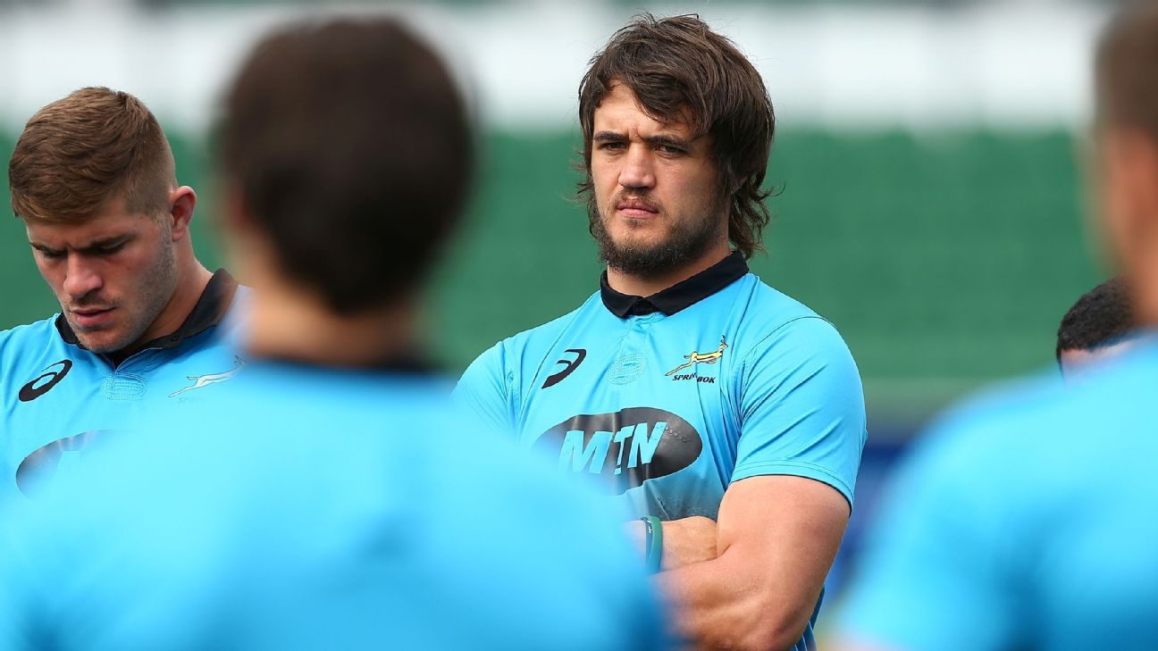 Franco Mostert regresa a los Springboks - ESPN