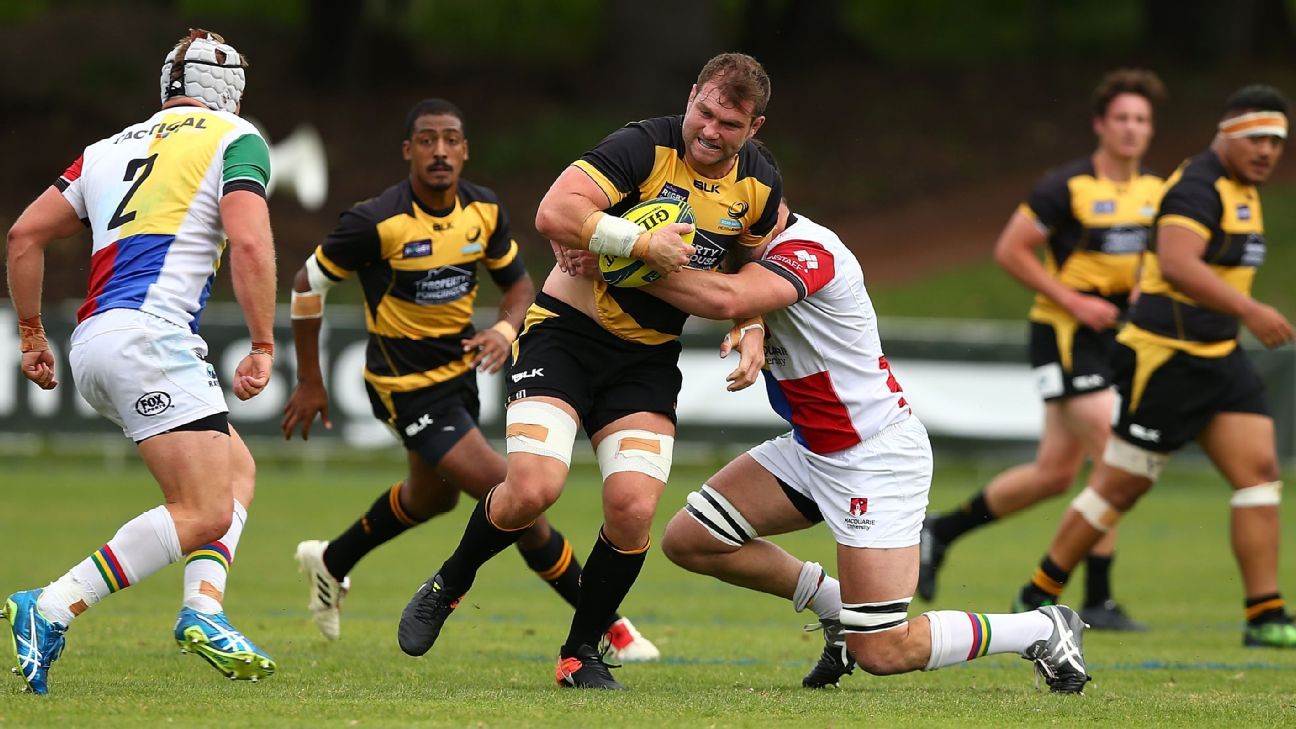 Wallabies' back-rower Ben McCalman nearing decision on playing future ...