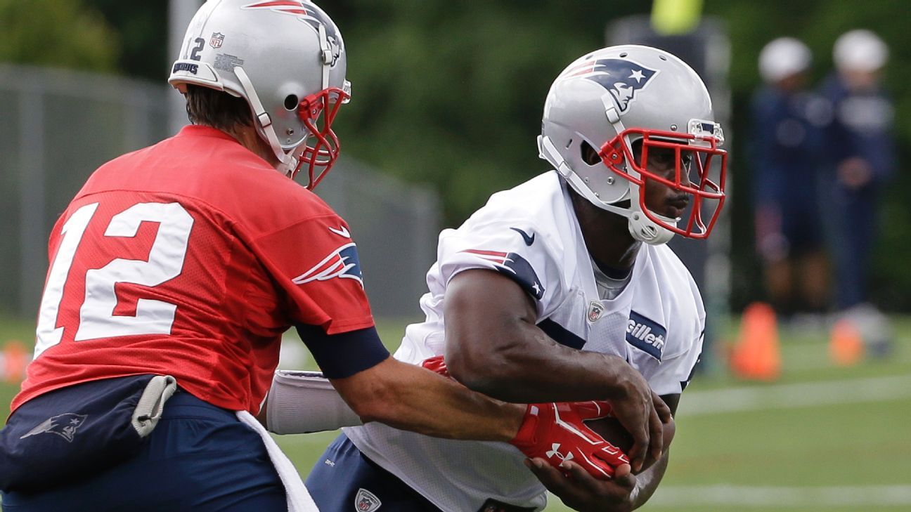 Sony Michel of New England Patriots has minor procedure done on knee - ESPN