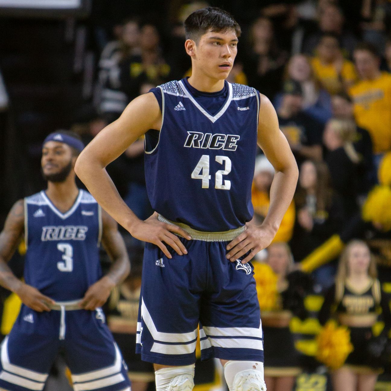 Vanderbilt adds Rice transfer, Croatian forward - ESPN