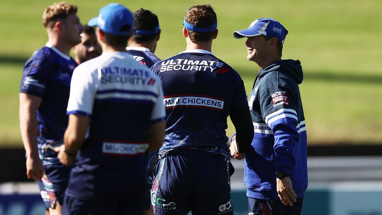 NRL 2022 Round 11 real or not Michael Potter faces ultimate job ...