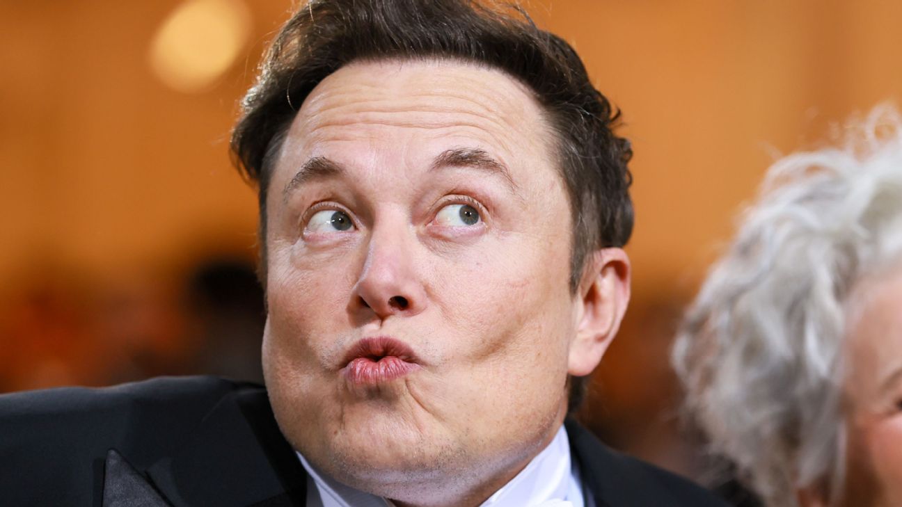 Reporte: Luego de broma de Elon Musk suben acciones del Manchester ...