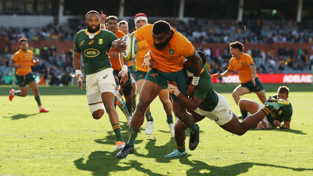 ¡Toda la previa de la 4° fecha del Rugby Championship! Sudáfrica Springboks Wallabies Australia ...