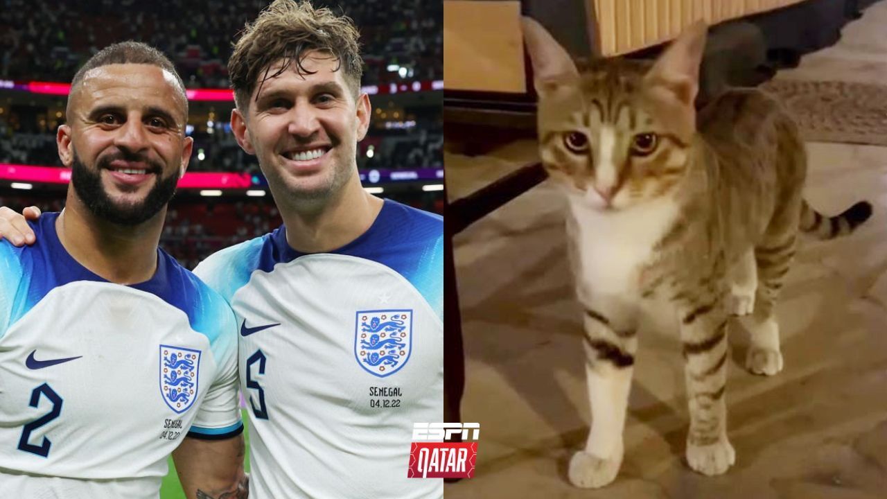 Após queda na Copa, dupla do Manchester City volta para a Inglaterra ...