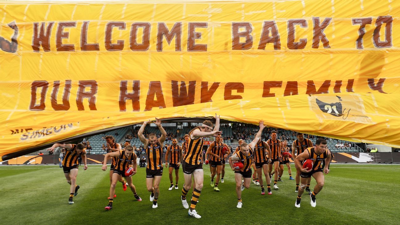 Gowers wins Hawthorn AFL presidency - ESPN