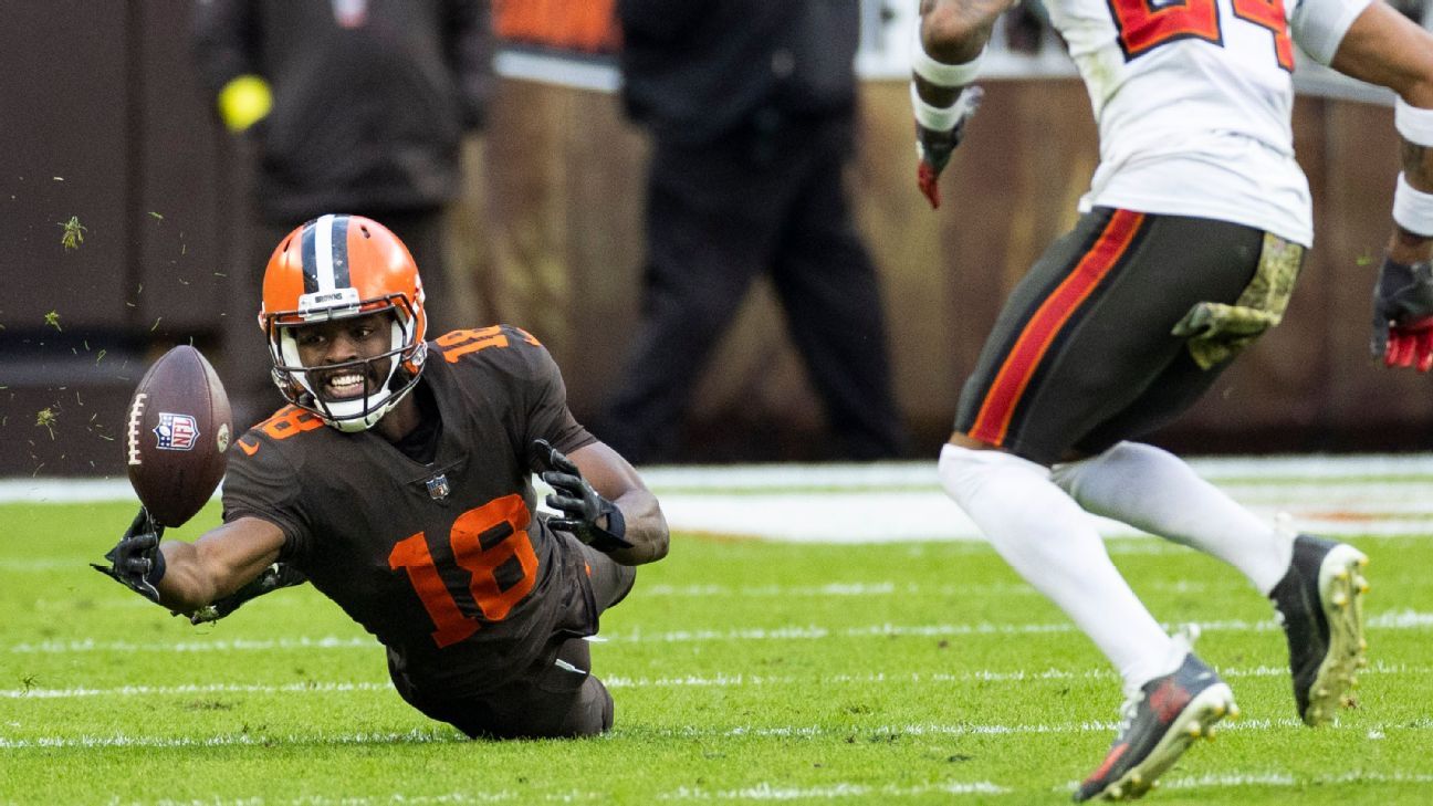 Q&A with Browns WR David Bell - ESPN - Cleveland Browns Blog- ESPN