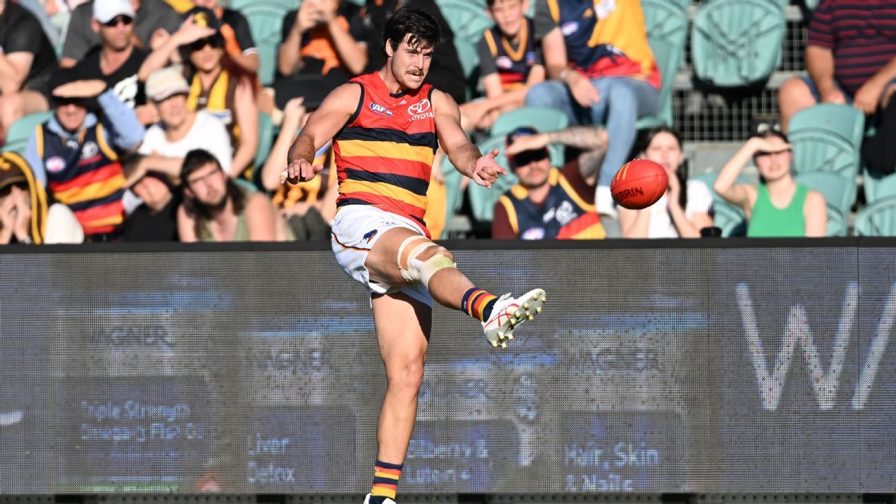 AFL Round 6 Adelaide Crows snatch victory from Hawthorn in AFL nail ...