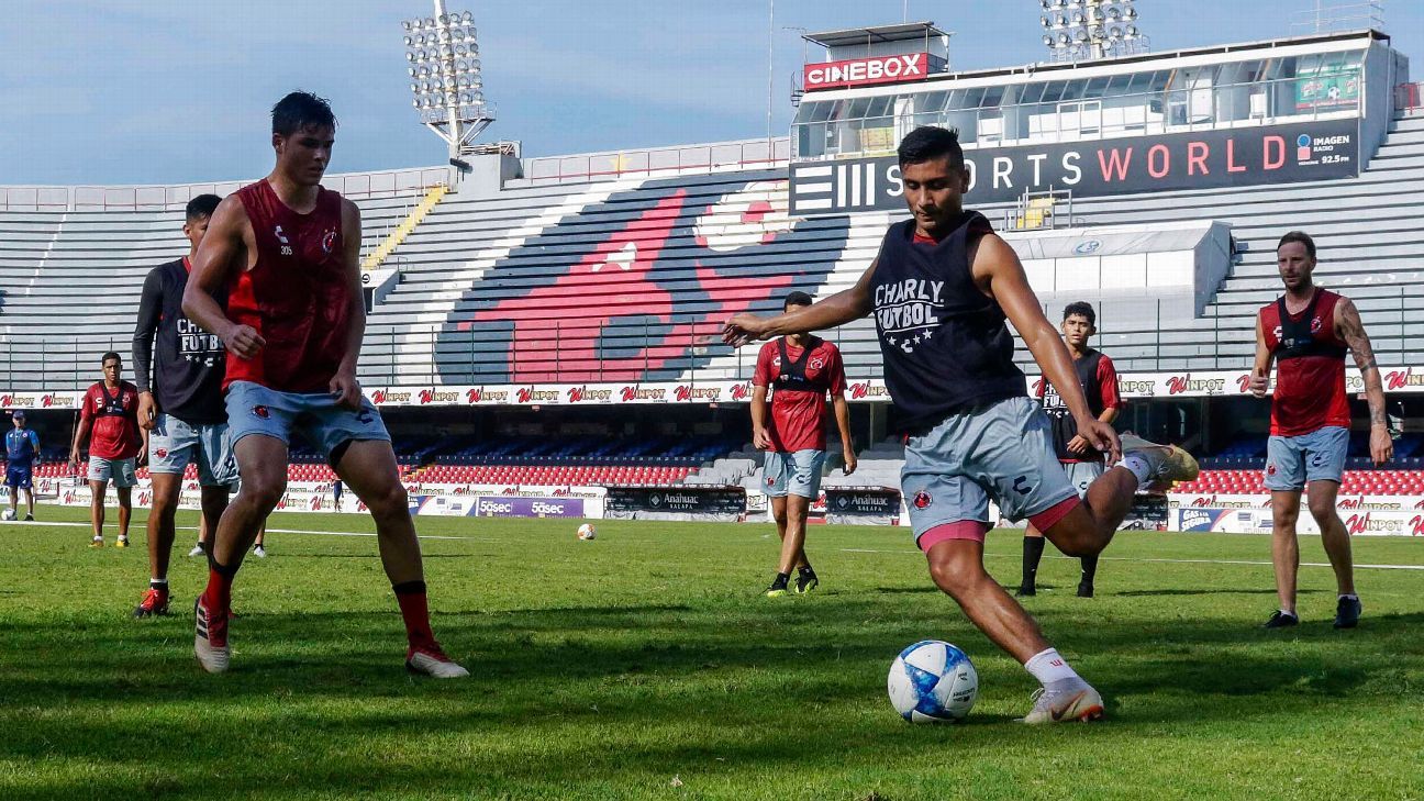 FMF da anticipo a ex jugadores de Tiburones Rojos, aunque se deslinda ...