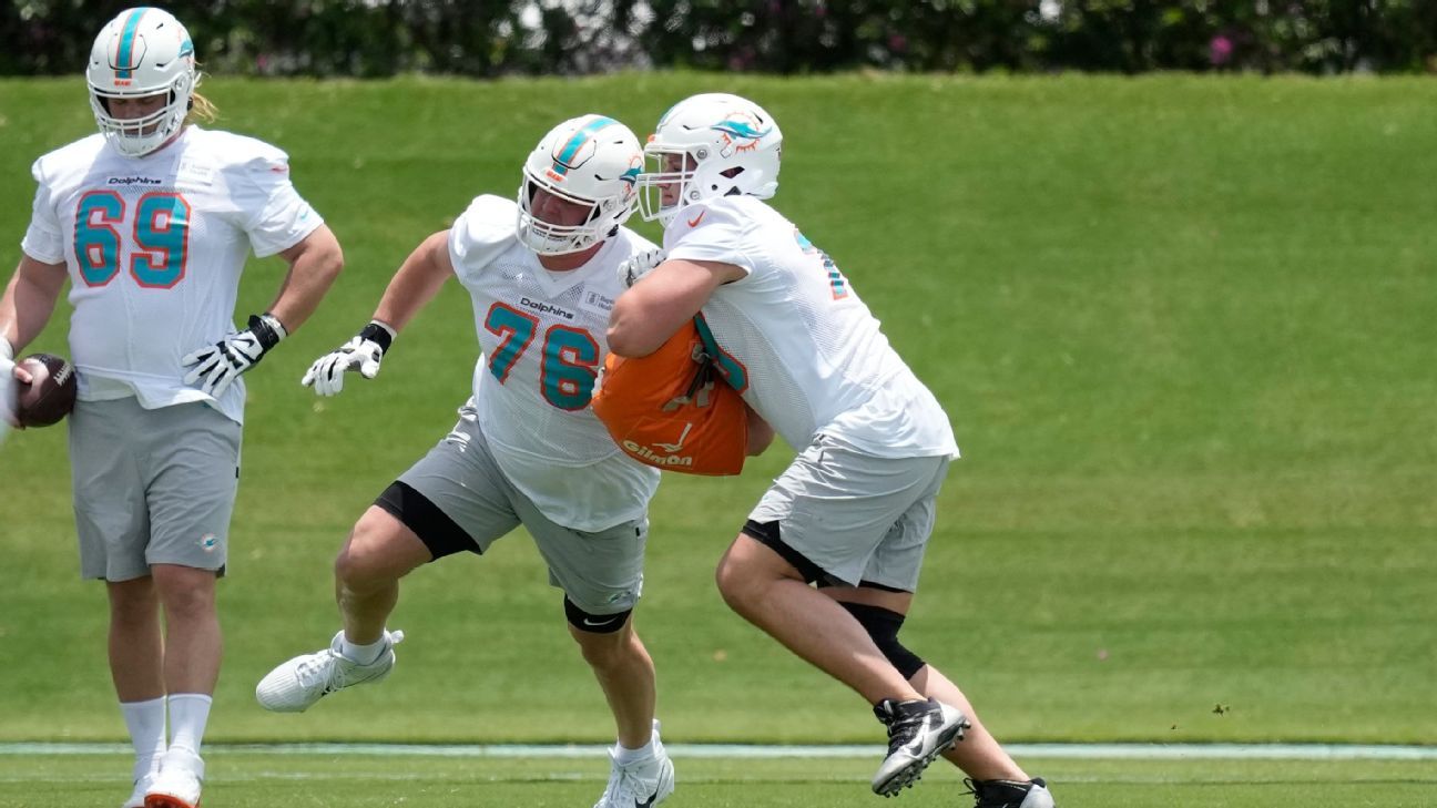 Dolphins aprendieron de la temporada pasada y reforzaron su línea ...
