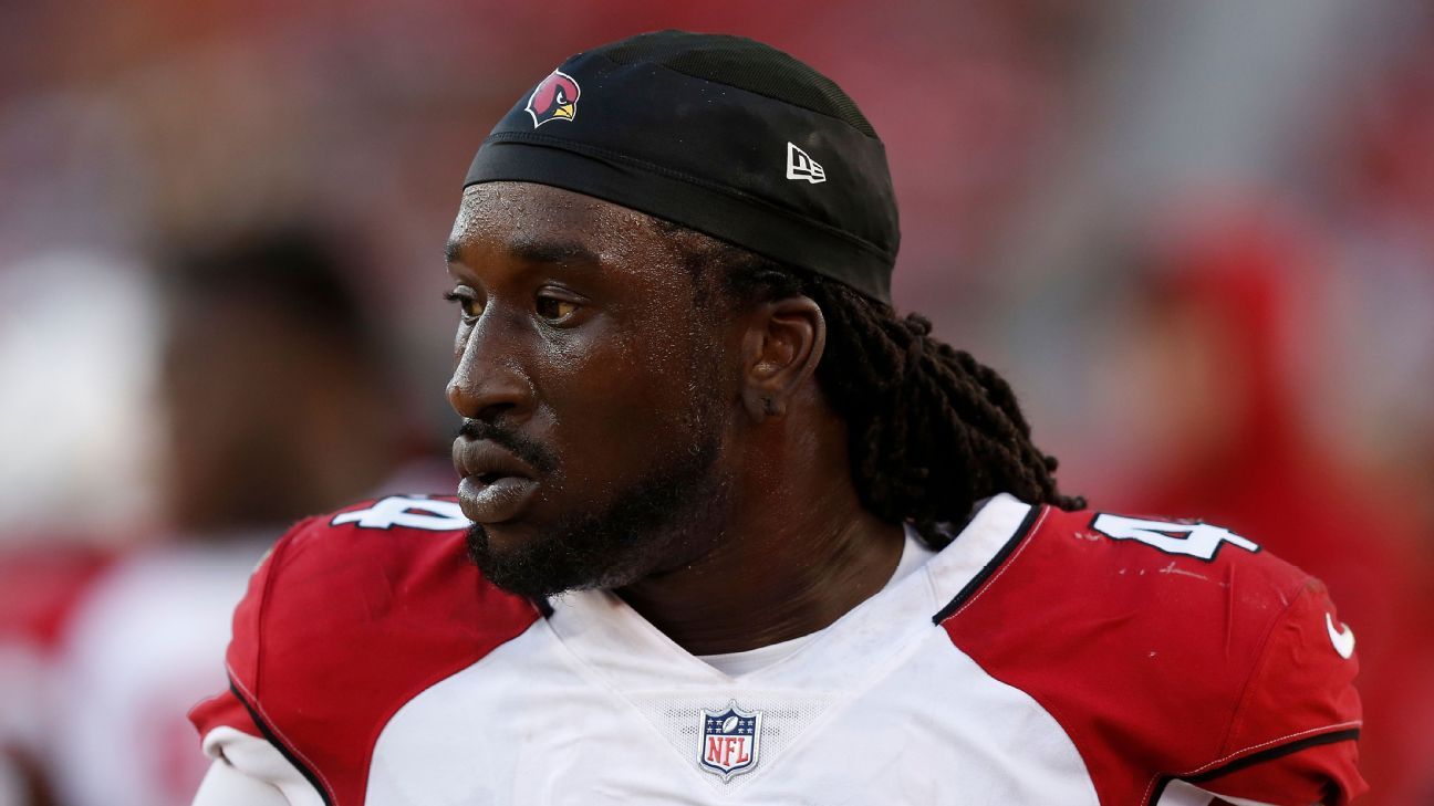Pittsburgh Steelers firman al veterano linebacker Markus Golden - ESPN