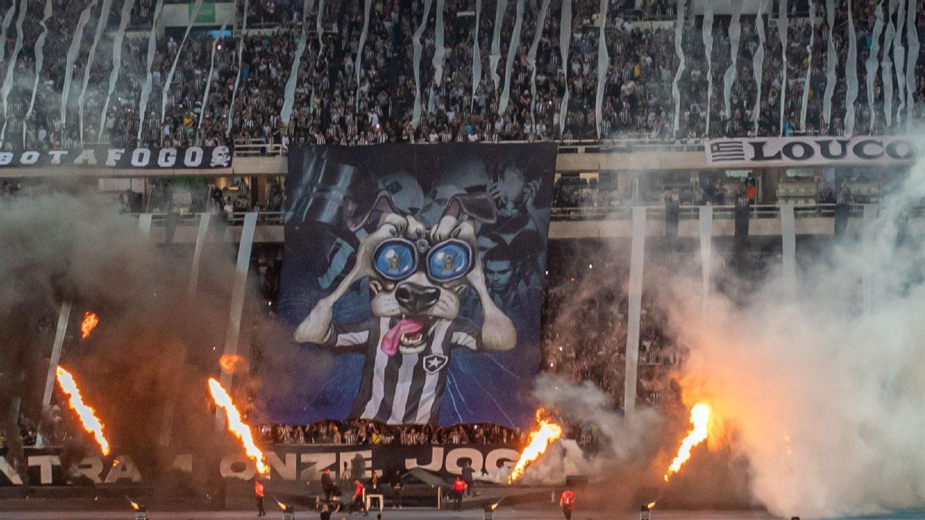 Torcida do Botafogo faz mosaico especial com a taça do Brasileirão - ESPN