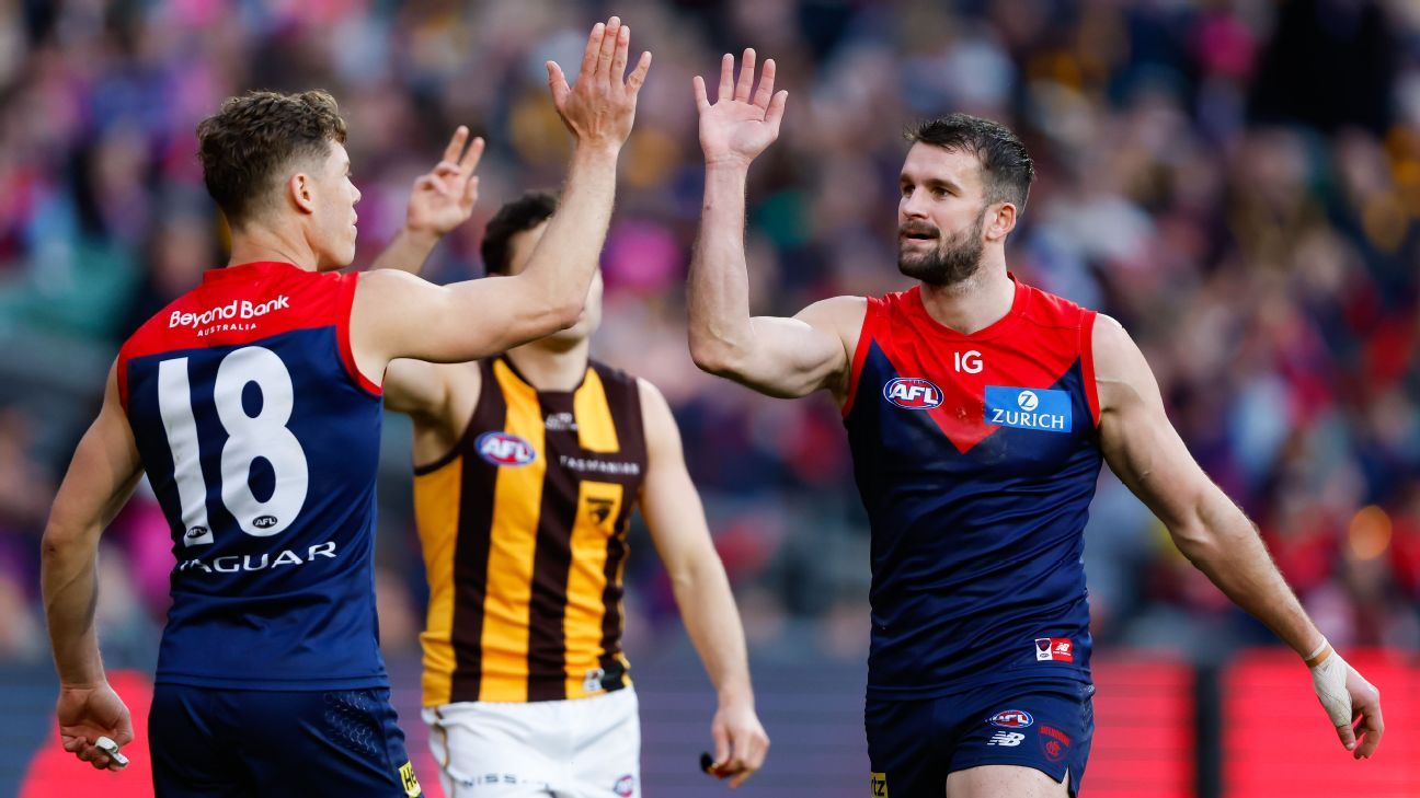 AFL Round 23 Demons hold off determined, undermanned Hawks - ESPN