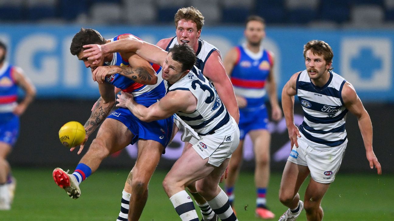 AFL Round 24 Bulldogs' finals hopes alive after gritty win over Cats - ESPN