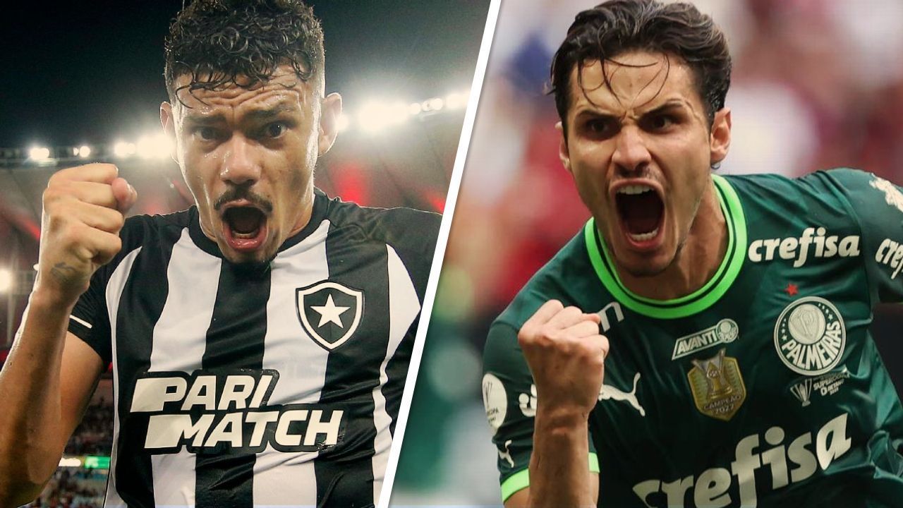 Hulk diz no que Botafogo e Palmeiras são muito parecidos e aponta ...