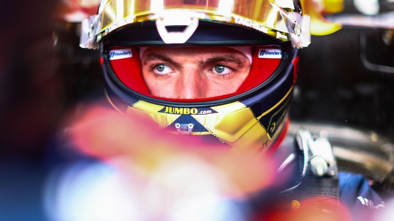 Max Verstappen convirtió su Red Bull en el arca de Noé y logró la pole ...