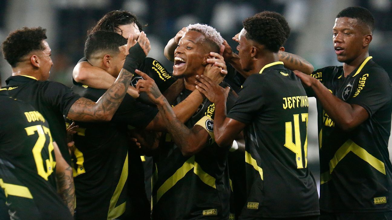 Botafogo é campeão da Taça Rio e garante vaga na Copa do Brasil de 2025 ...