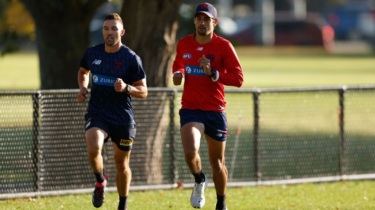 AFL: Ex-Adelaide Crow Shane McAdam to make long-awaited Melbourne ...