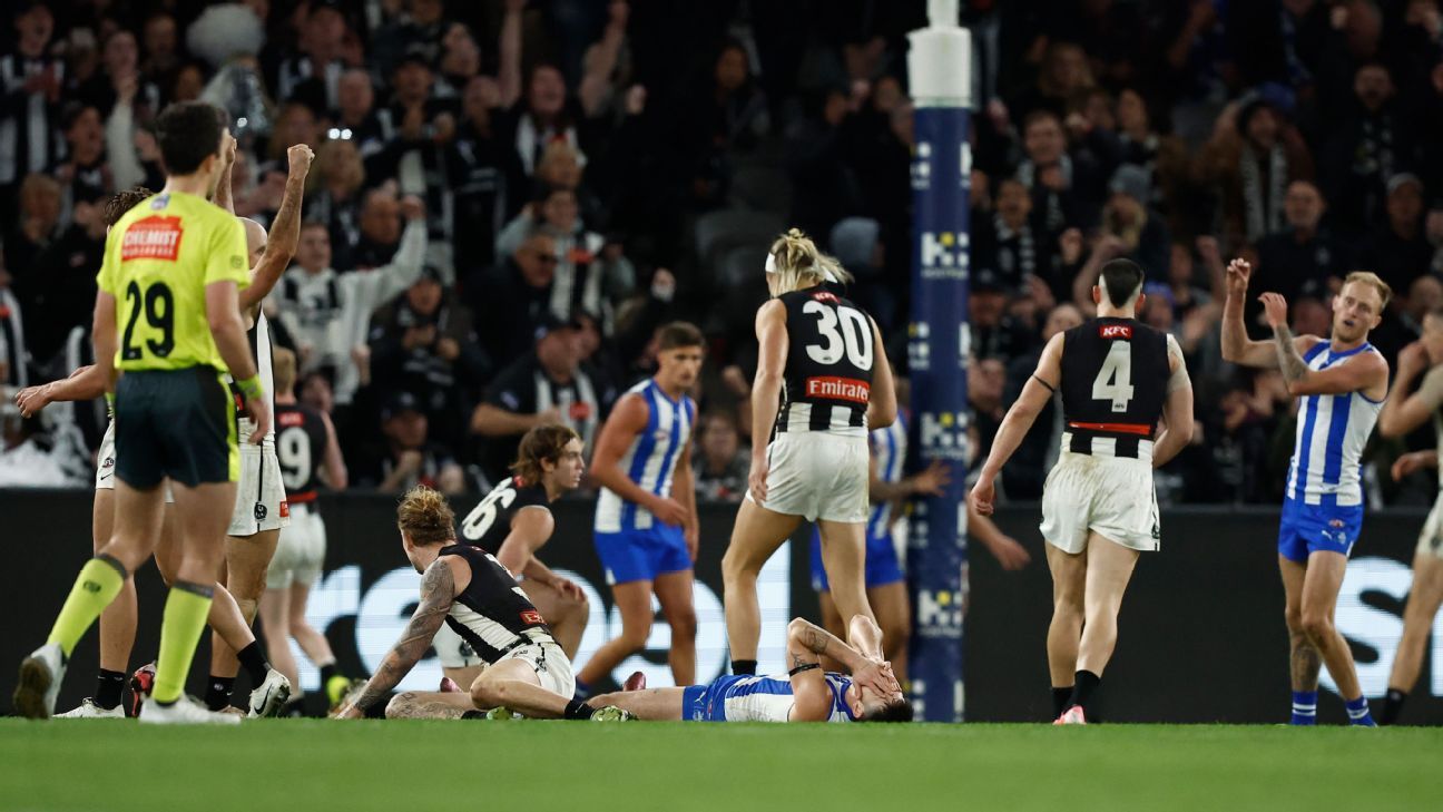 AFL A hiding to nothing: Umps aren't perfect but they're pretty damn ...