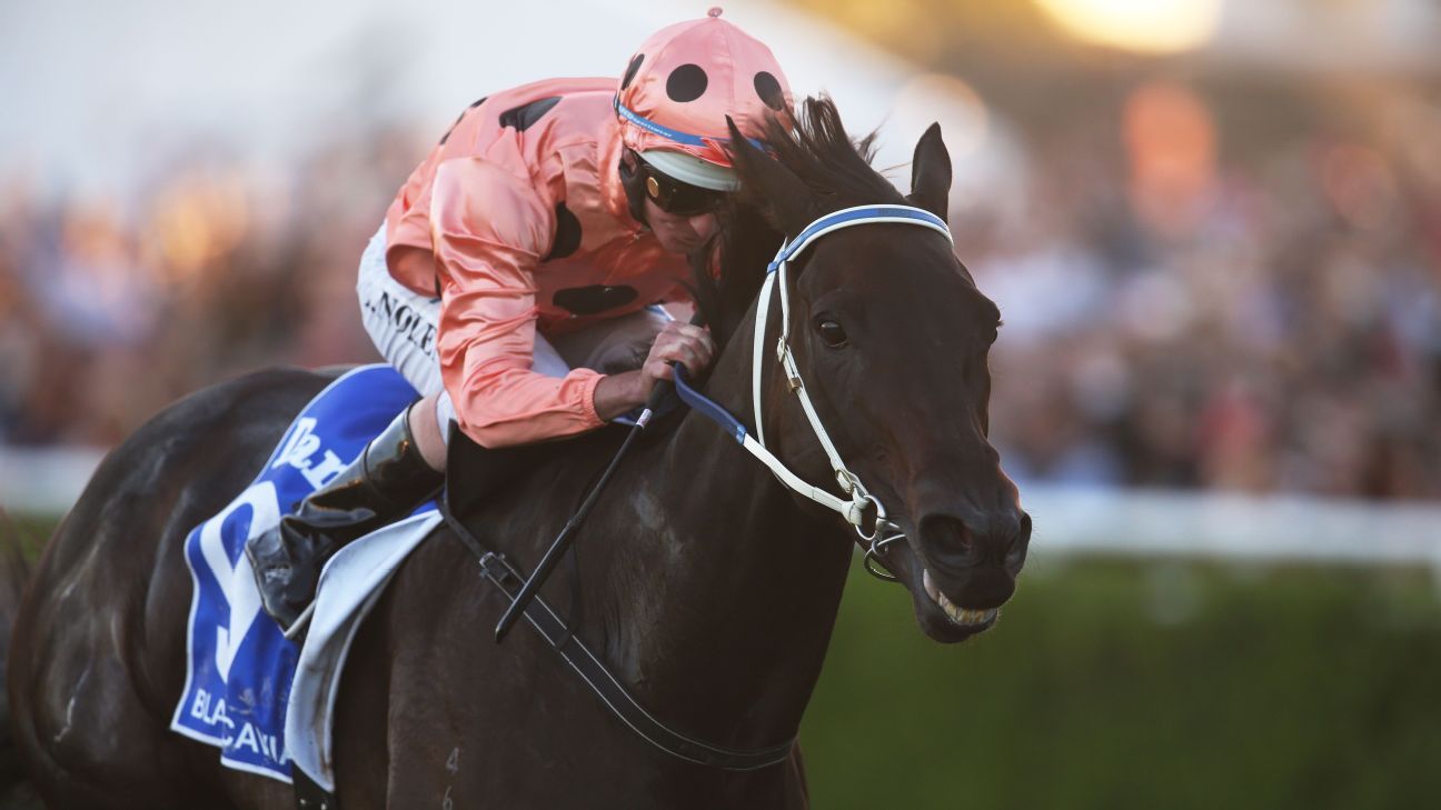 'More than a champion': Legendary racehorse Black Caviar passes away - ESPN