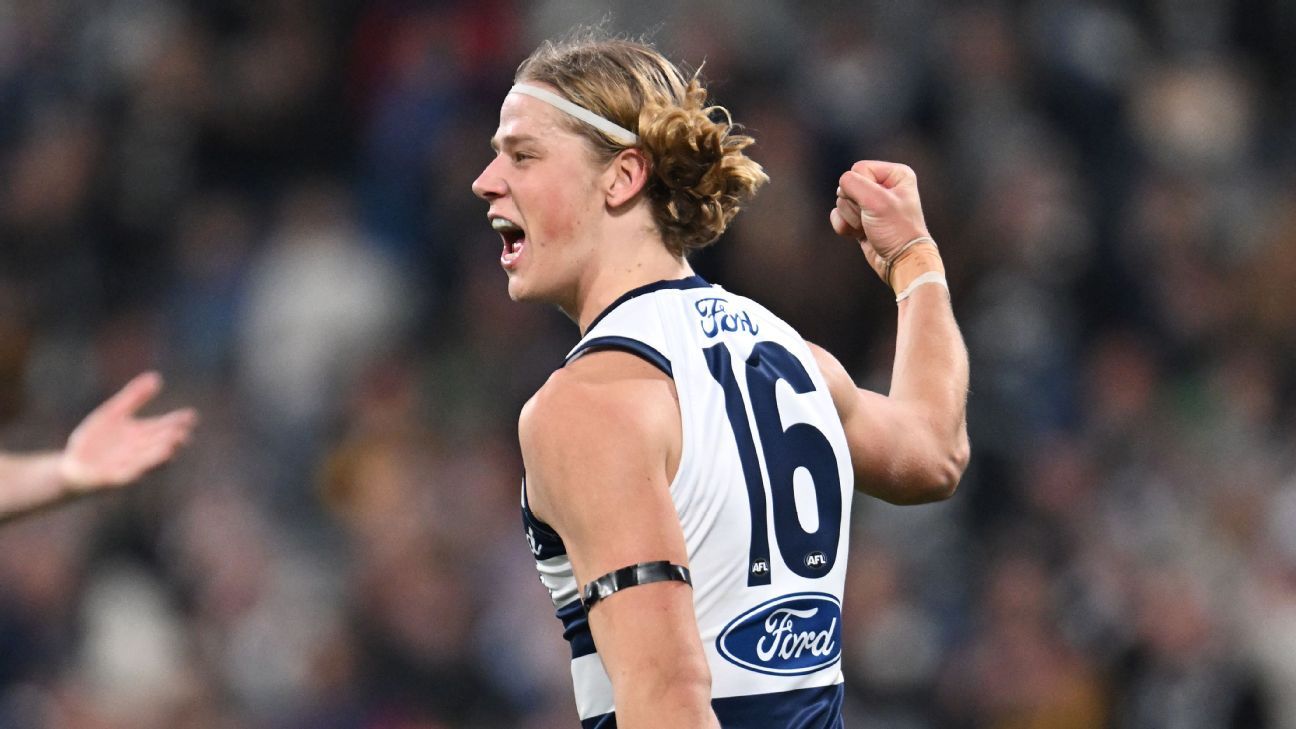 AFL finals week one: Fixture, teams, news, tips, odds - everything you ...