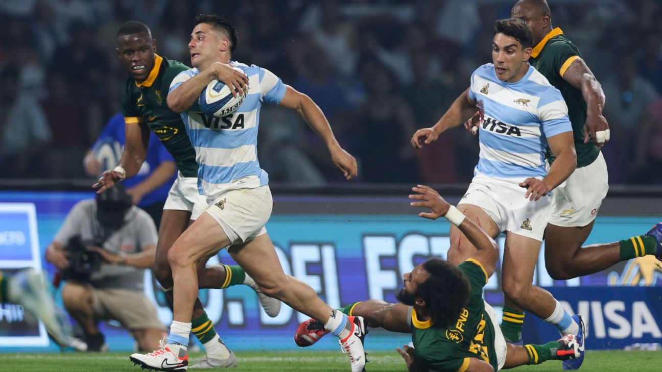 Los Pumas cayeron 48-7 ante Sudáfrica y finalizaron terceros en el ...