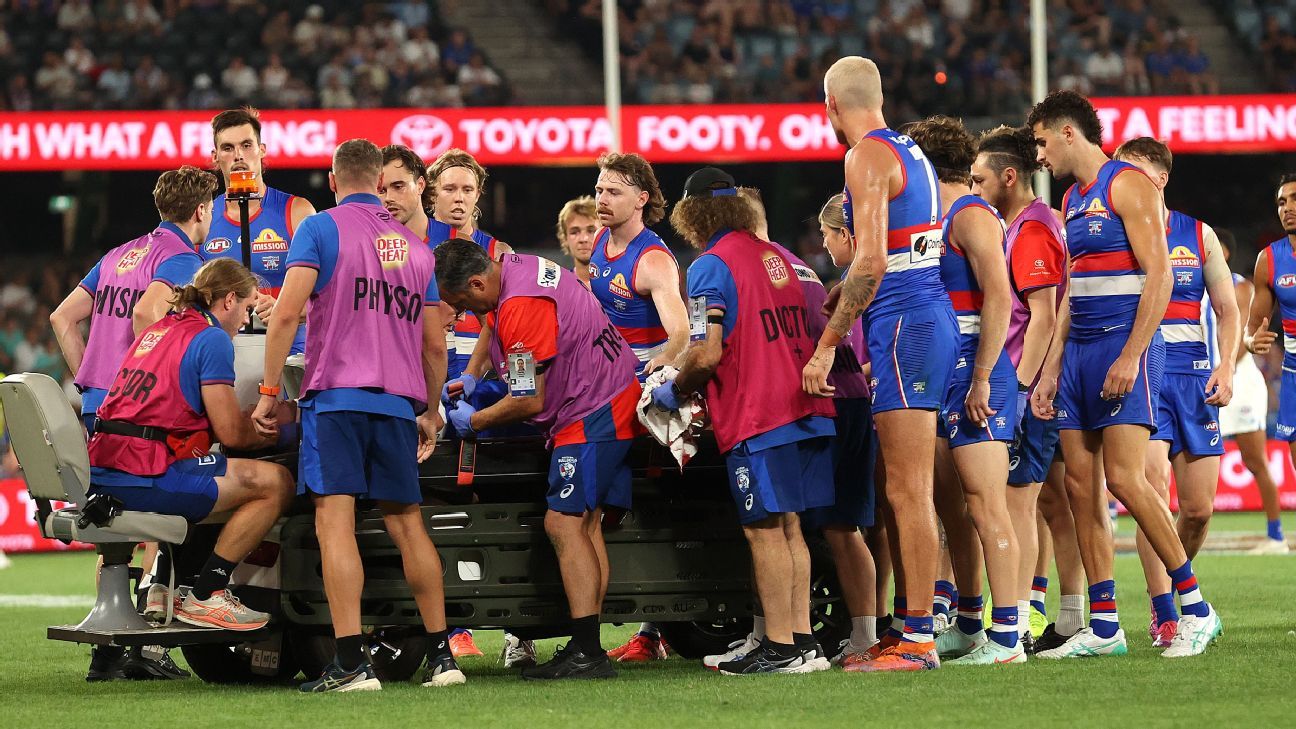 AFL: North youngster Jackson Archer banned after collision with Dogs ...