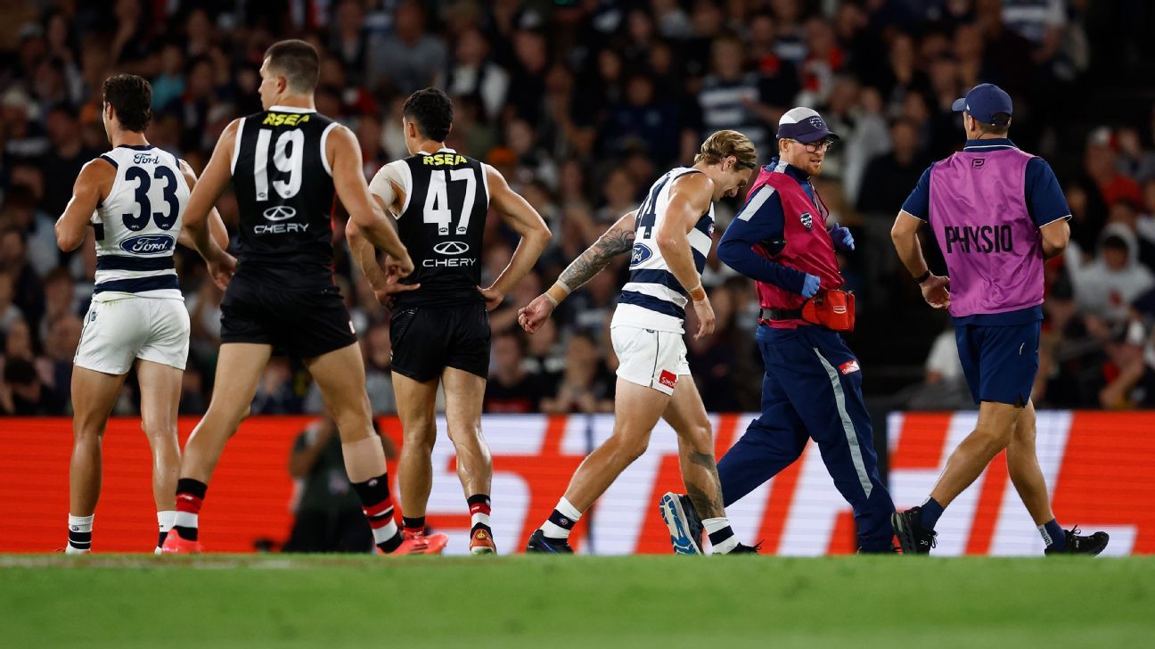 Scans clear Cats' Tom Stewart of major knee injury - ESPN