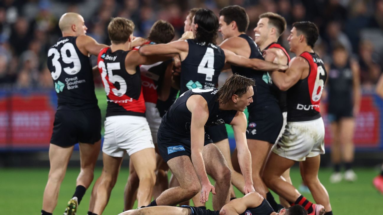 AFL: High bump costs key Bomber onballer two-game ban - ESPN