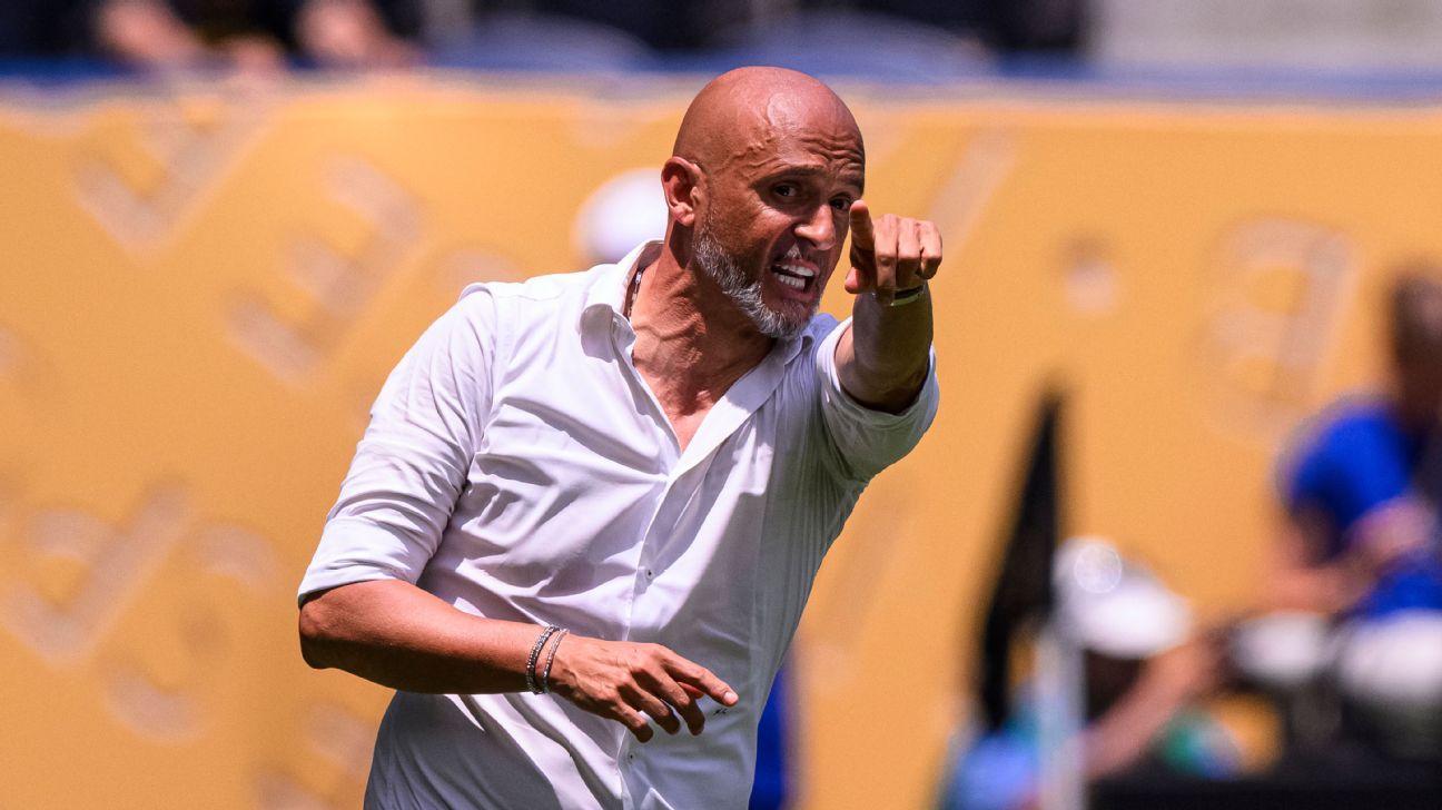 Stellenbosch vs Mamelodi Sundowns - Both clubs must recover from slow ...