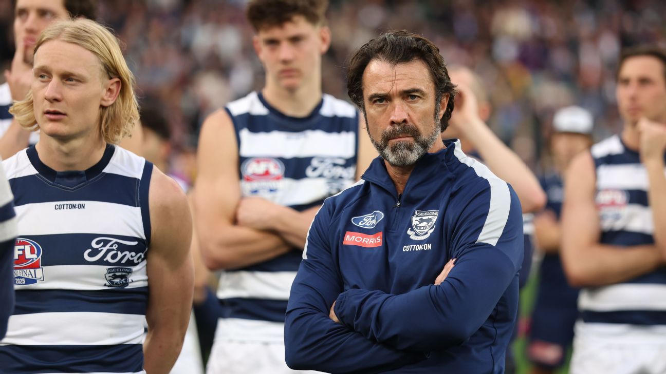 Cats fined for third-party deals after AFL audit - ESPN