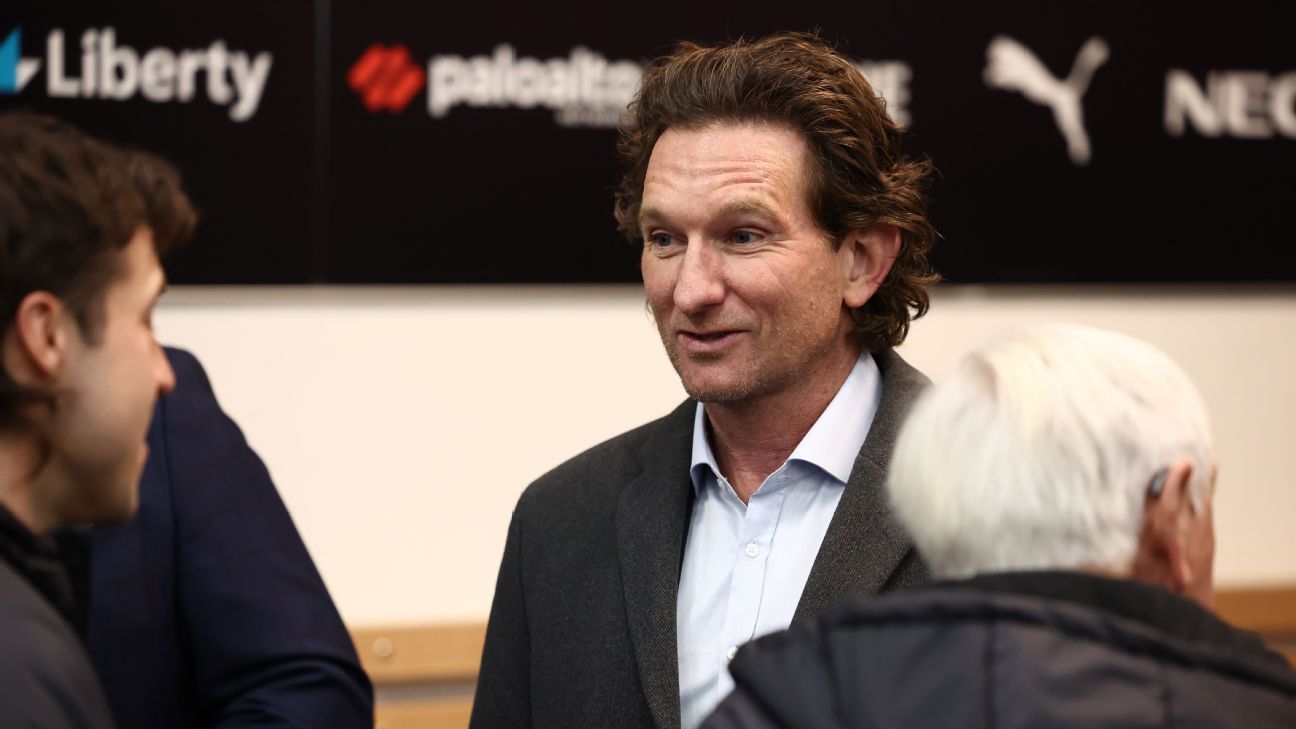 James Hird confirms he wants to coach Essendon again - ESPN