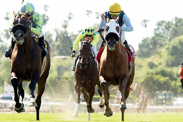 Farhaan upsets Thunder Road Stakes - ESPN